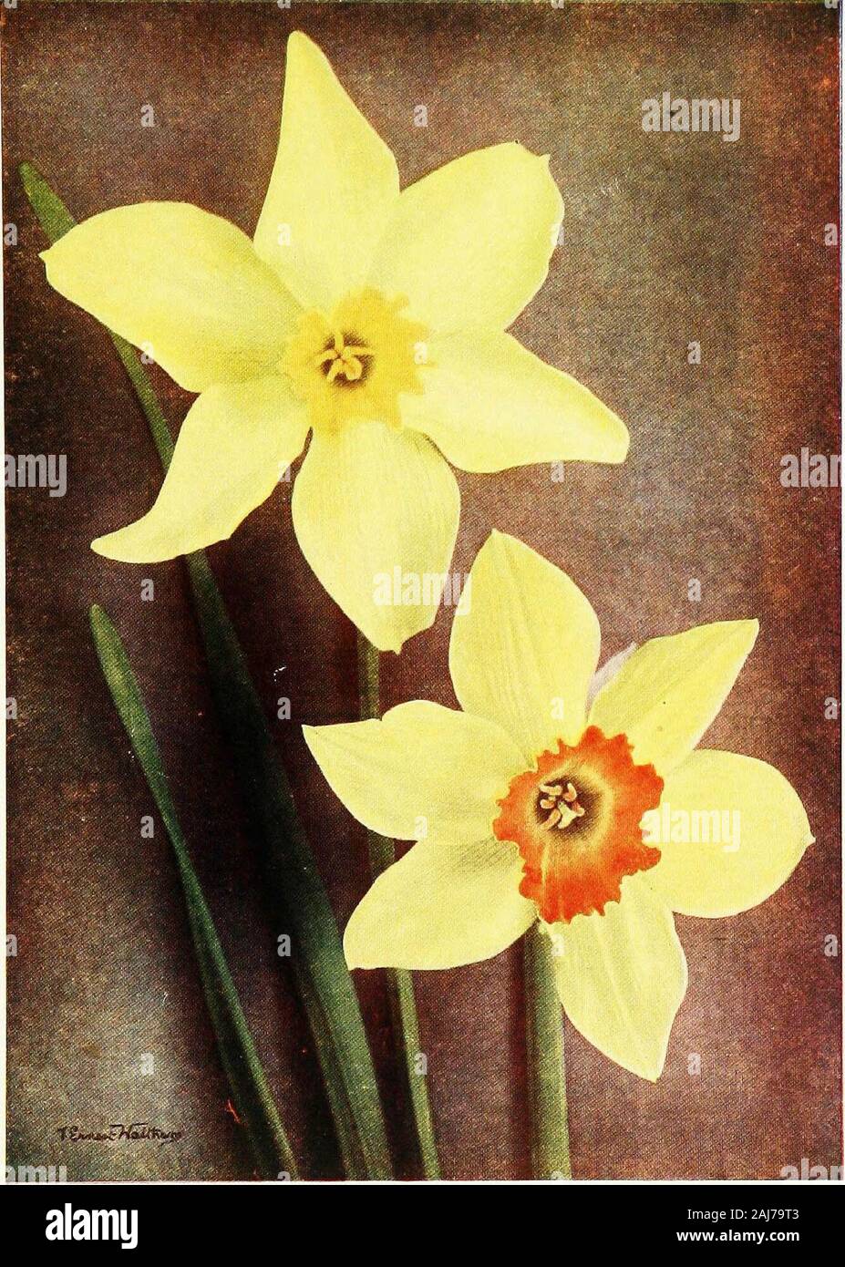 Thomas harman hi-res stock photography and images - Alamy