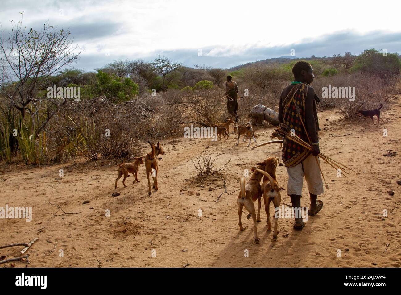 Hunters with bows and arrows of the Hadzabe indigenous ethnic group in ...