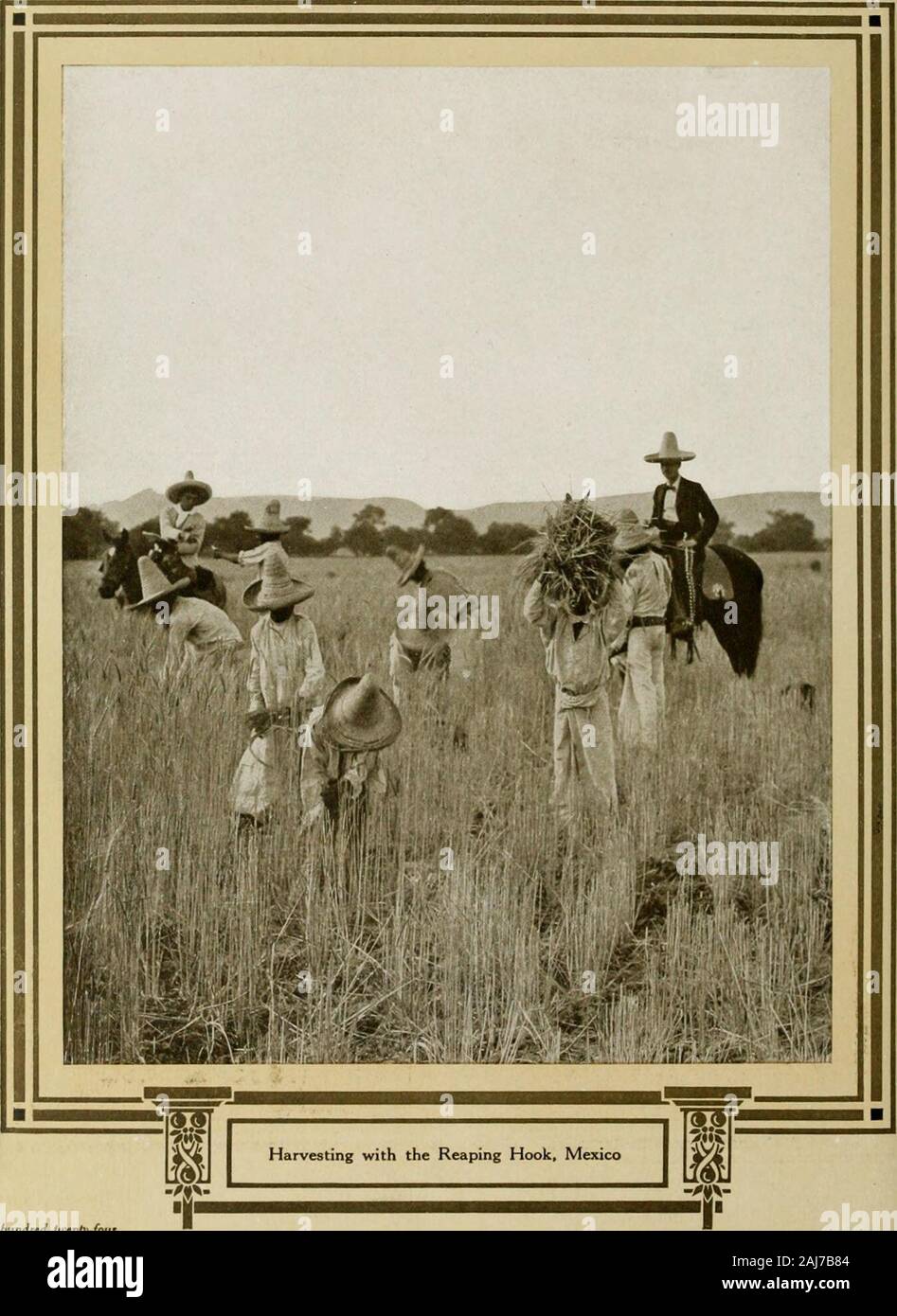 Harvest scenes of the world . One hundred twtntl4hff. ne hundred twenty ...