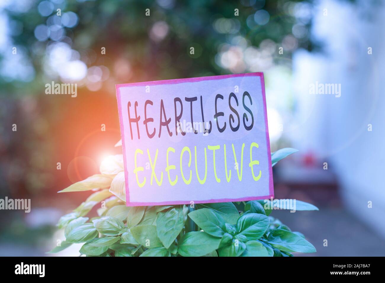 Conceptual hand writing showing Heartless Executive. Concept meaning ...