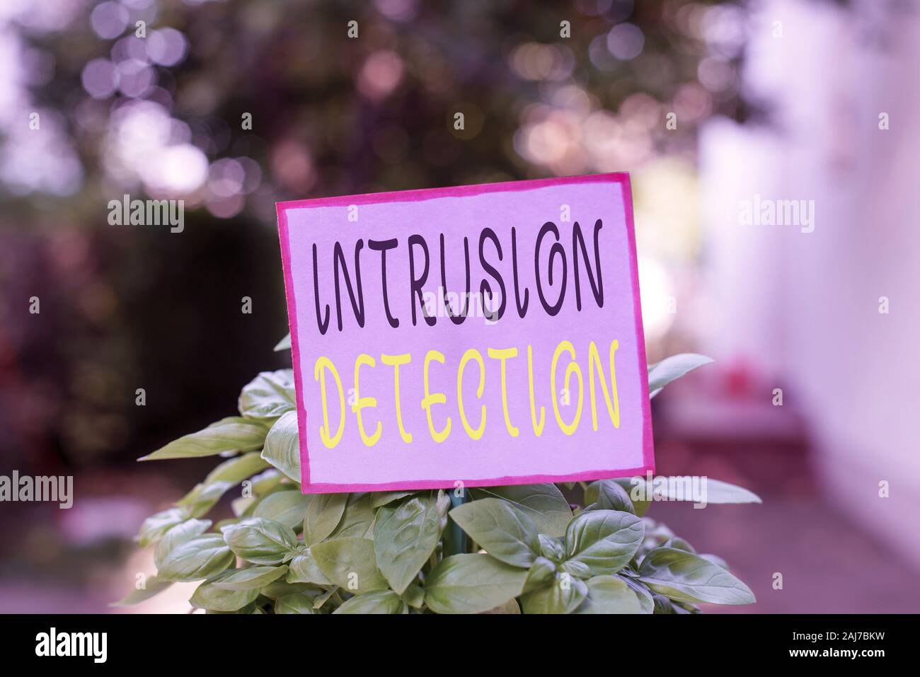 Intrusion detection systems hi-res stock photography and images - Alamy