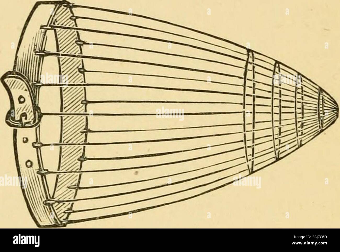 Ferrets Muzzle High Resolution Stock Photography and Images - Alamy