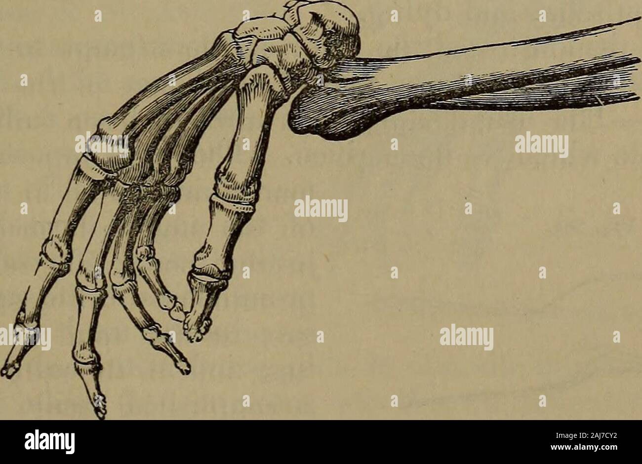 Chafing test hi-res stock photography and images - Alamy