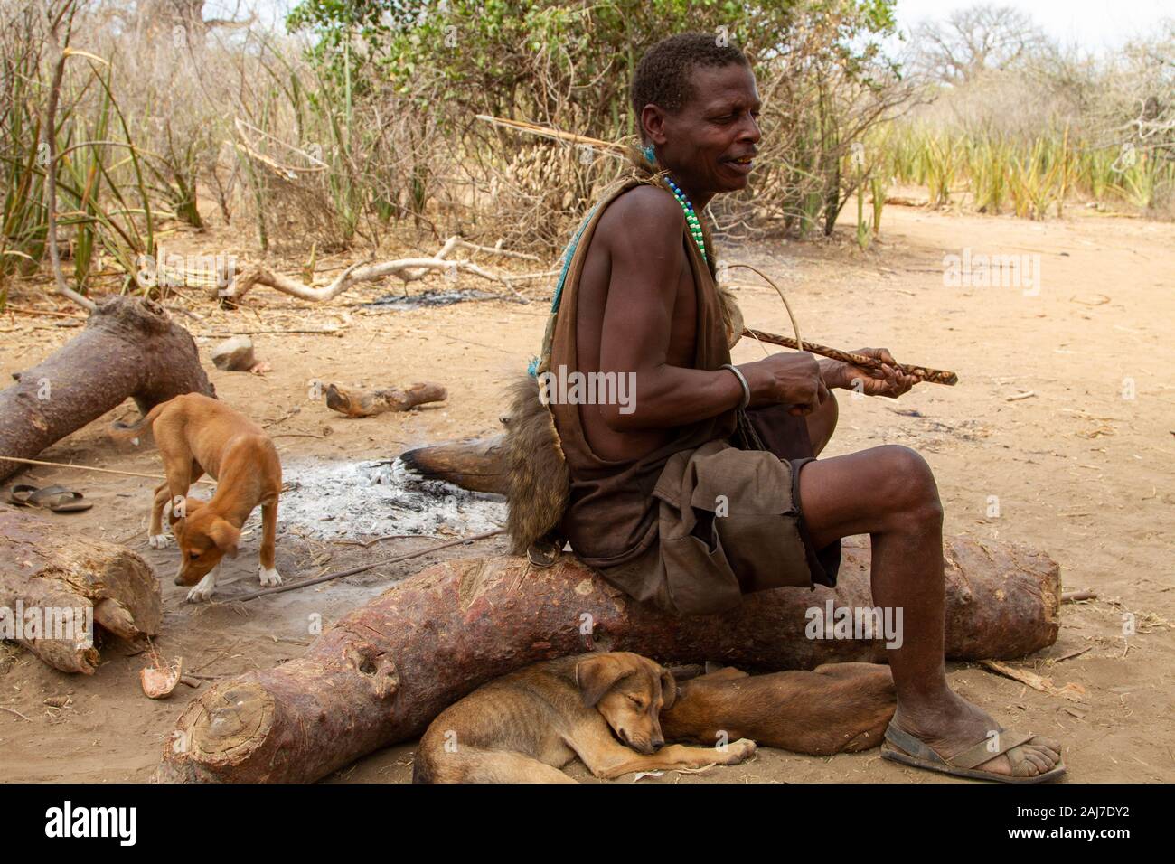 Hadzabe guy Plays a Traditional musical instruments . the Hadzabe are ...