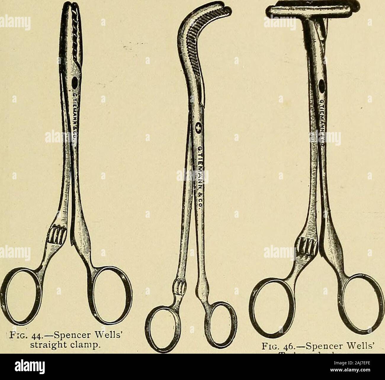 Peans hi-res stock photography and images - Alamy