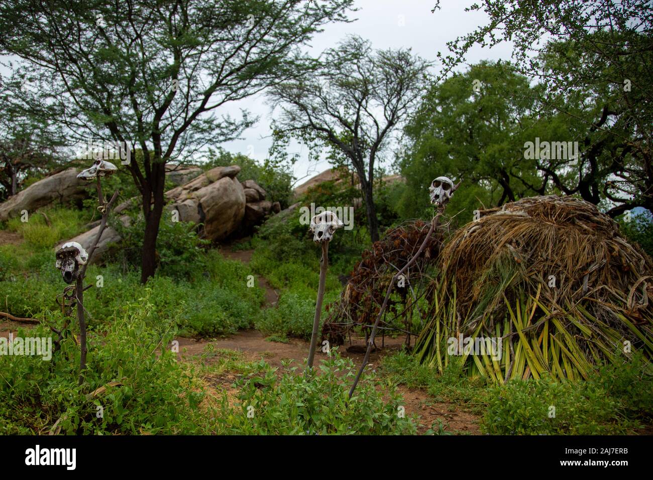 Indigenous cabin hi-res stock photography and images - Alamy