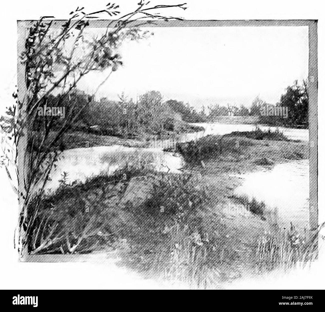 Brook little Cut Out Stock Images & Pictures - Alamy