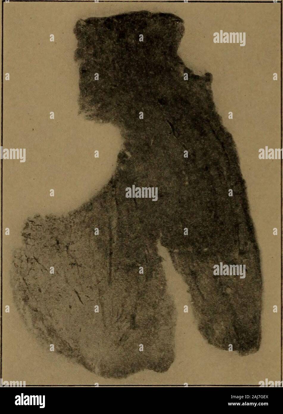 A text-book of dental histology and embryology, including laboratory ...