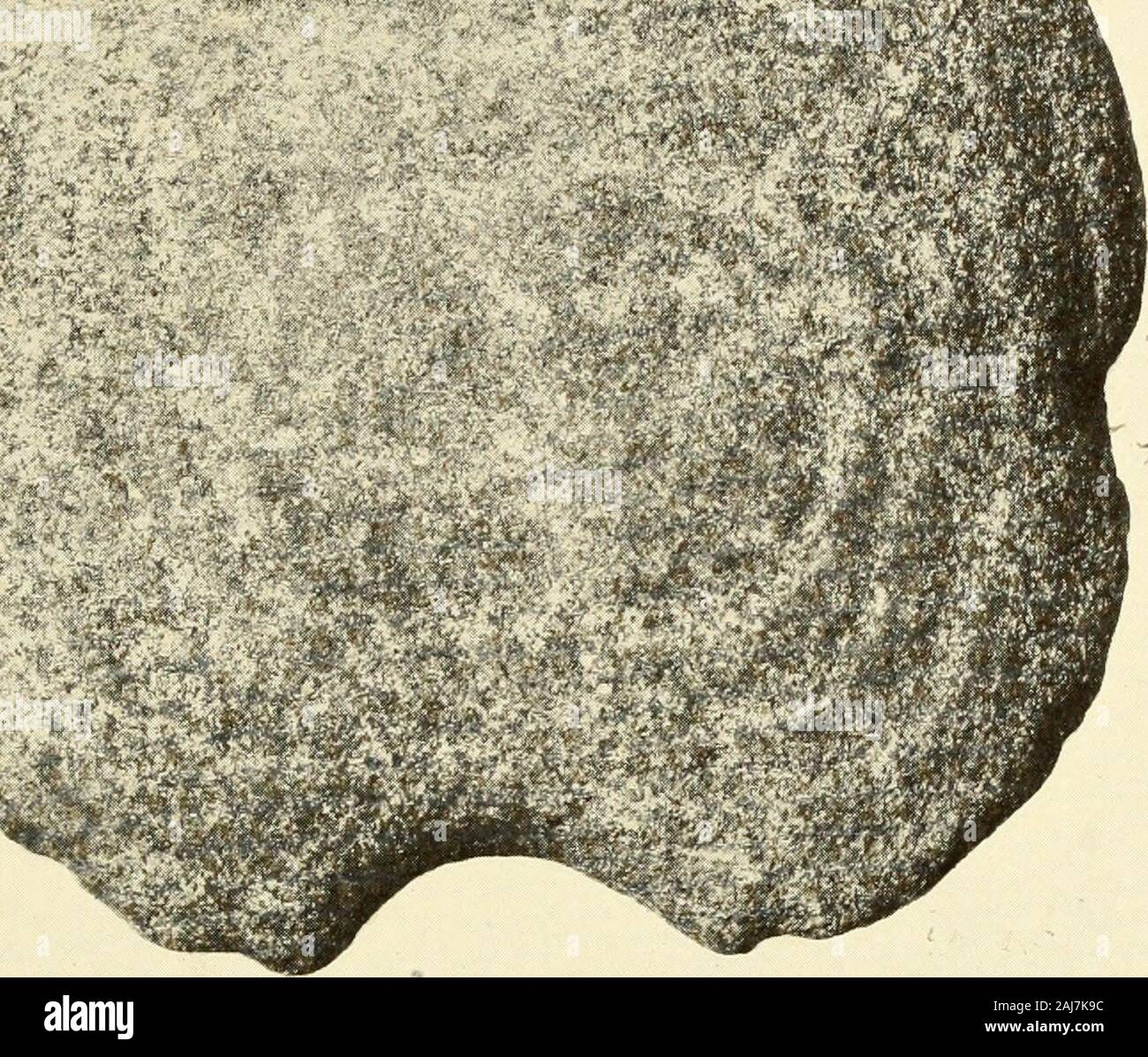 Left imperforate hi-res stock photography and images - Alamy