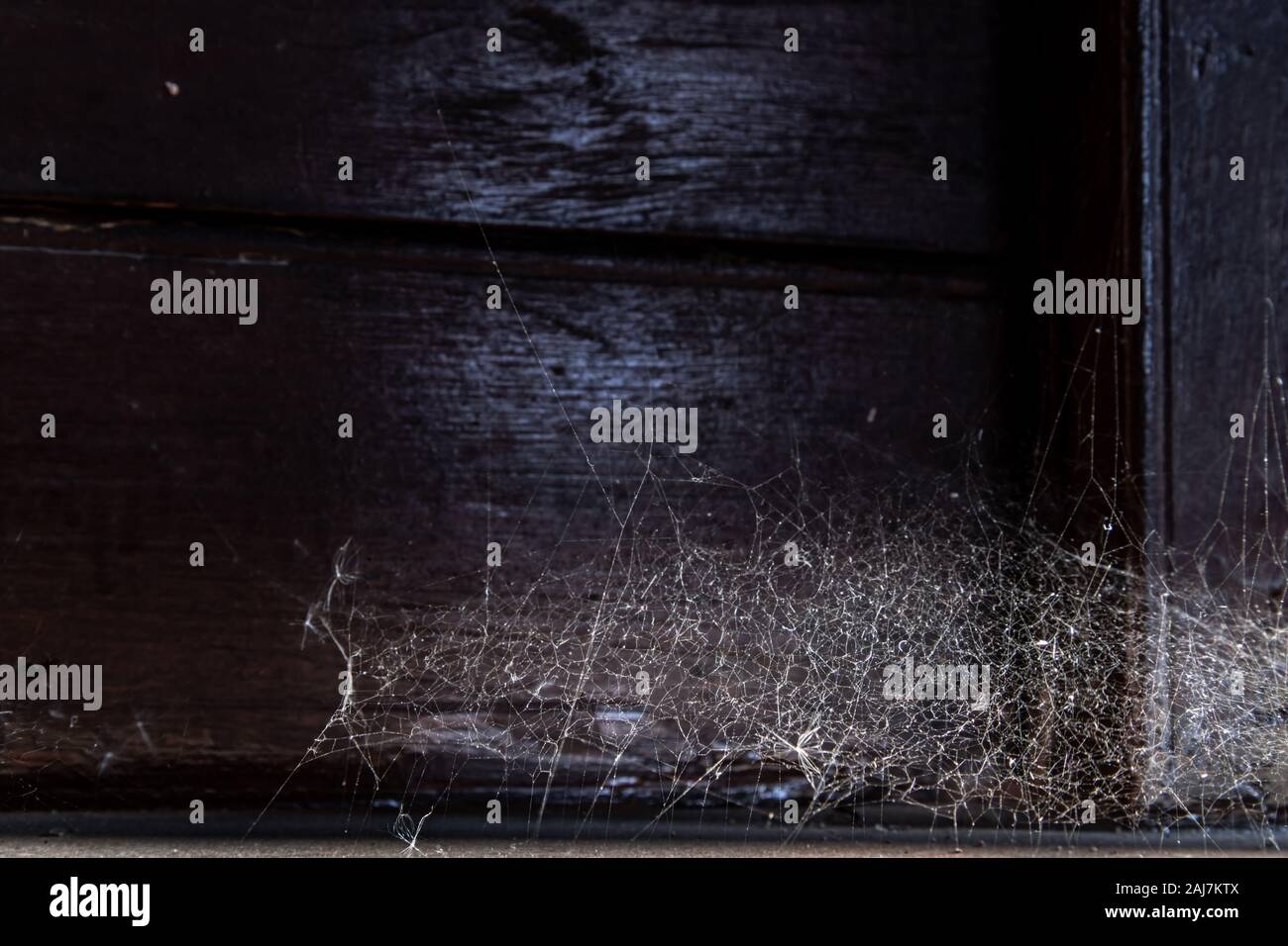 Spider woven web in wall of ancient thai house, Abstract Spiderweb on ...