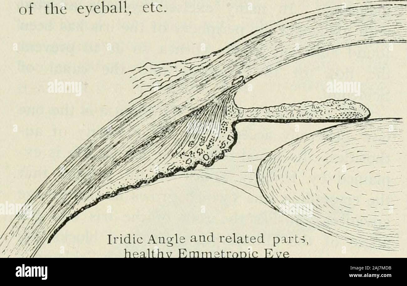 The commoner diseases of the eye : how to detect and how to treat them ...