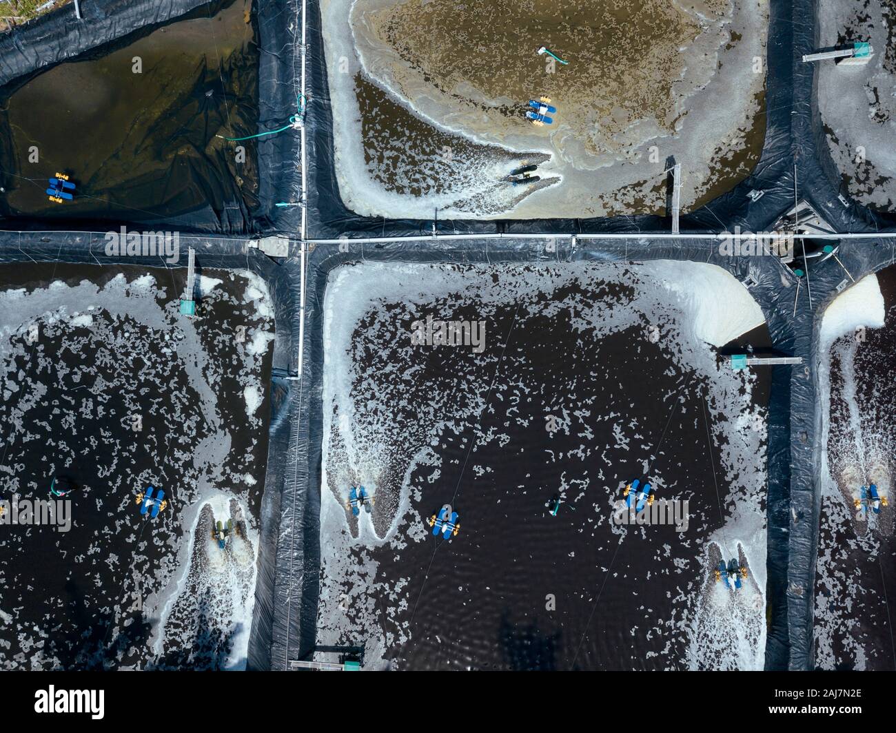 Prawn farm hi-res stock photography and images - Alamy