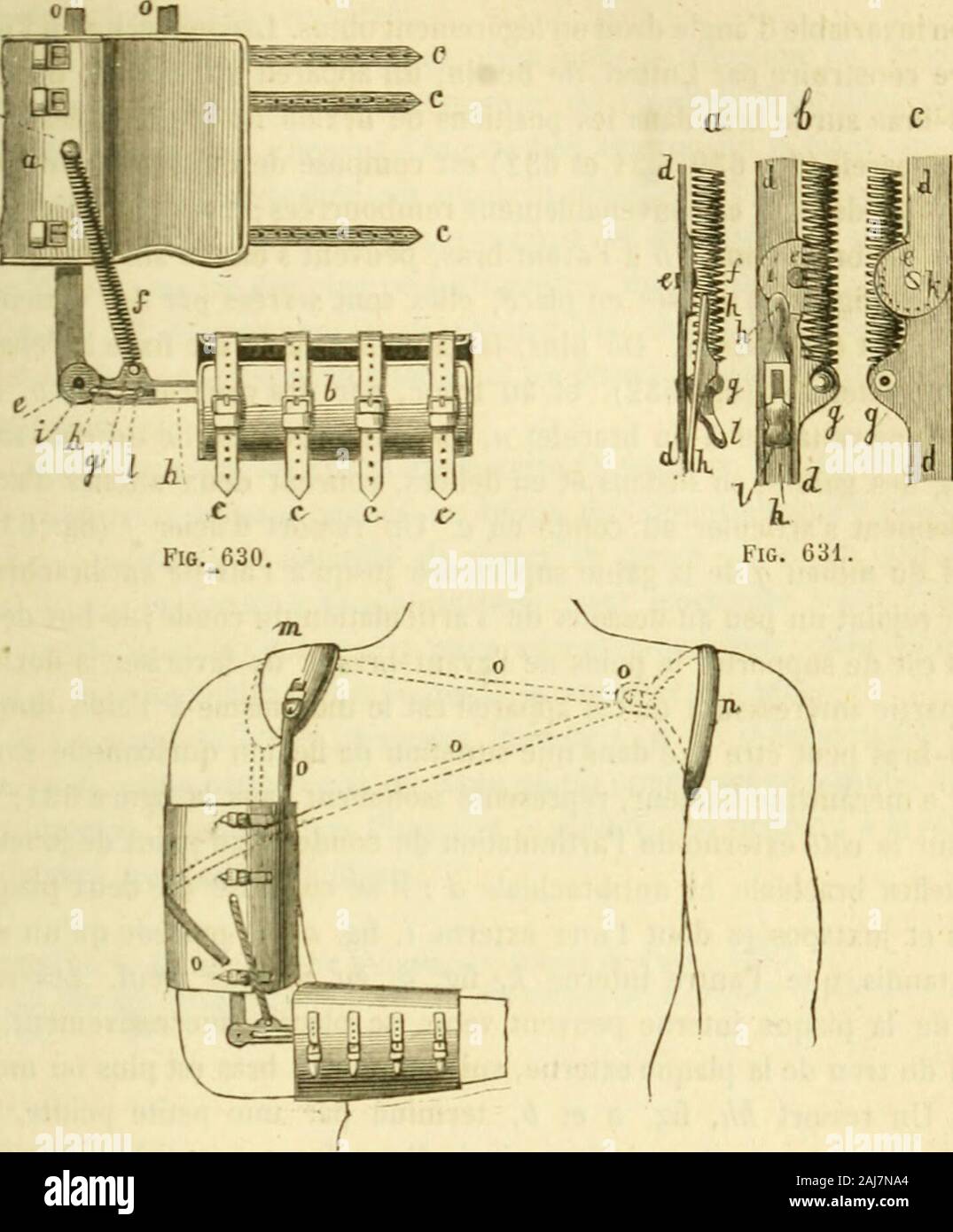 Ballottement Pregnancy