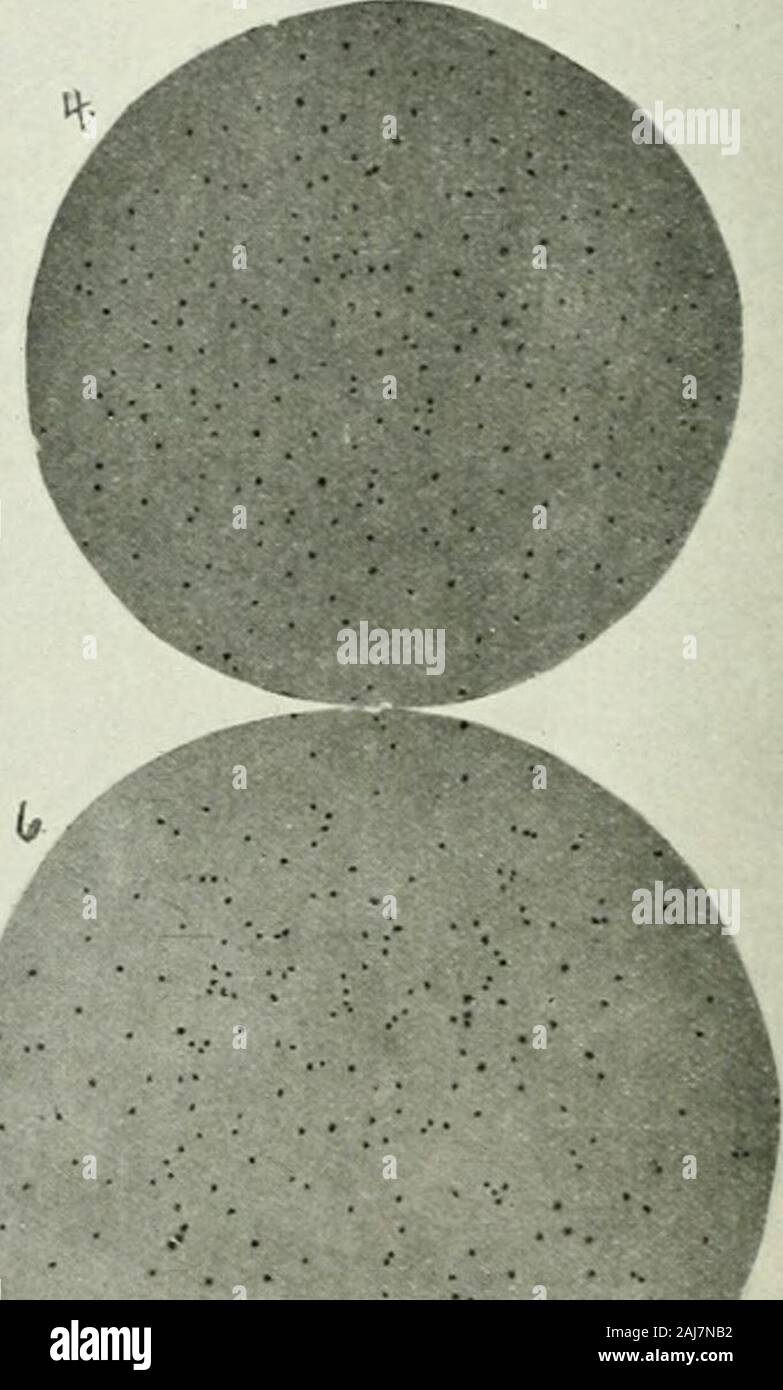 3 2 inch bore hi-res stock photography and images - Alamy