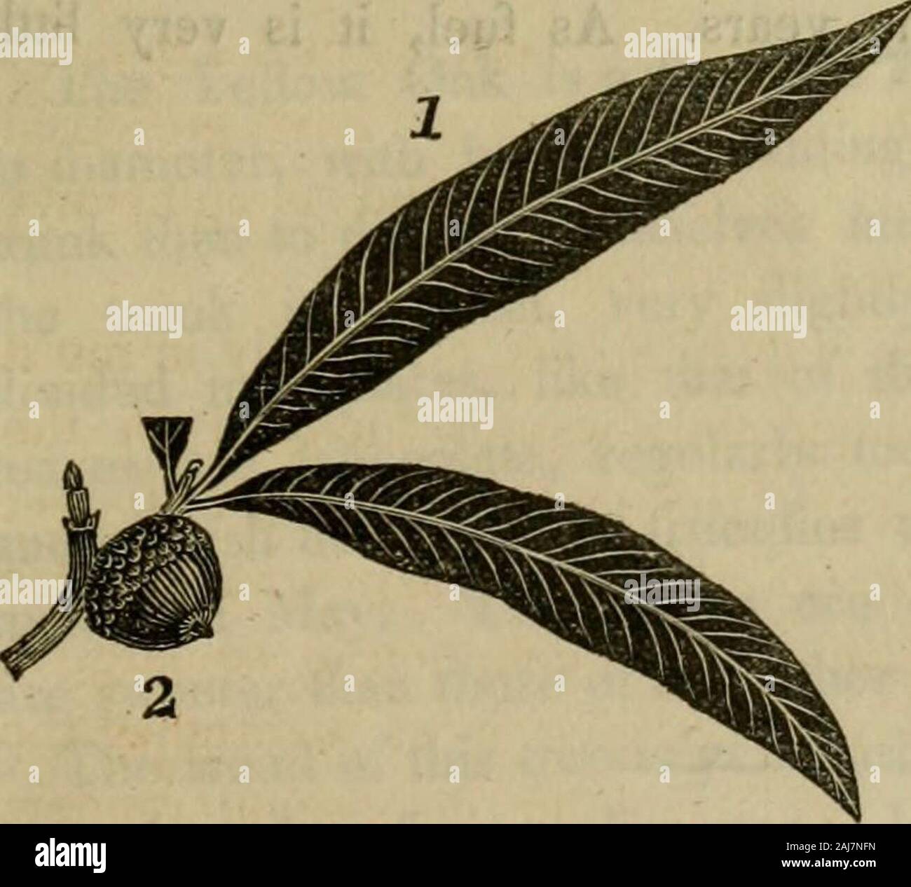 Axletrees hi-res stock photography and images - Alamy