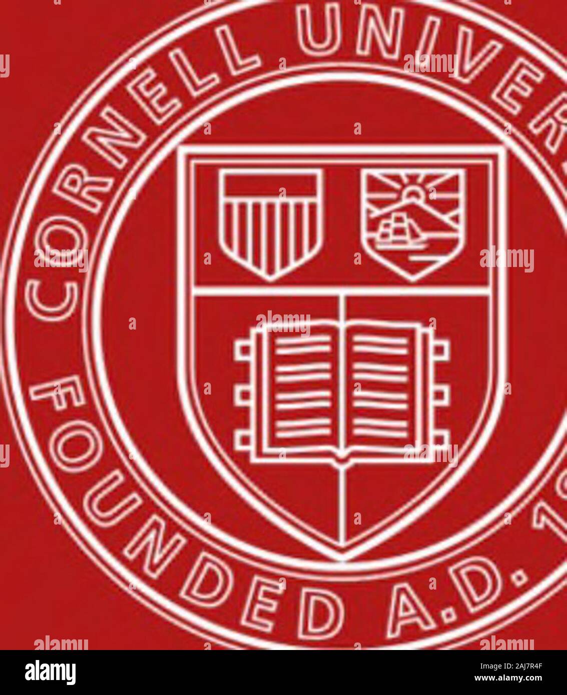 Intine hi-res stock photography and images - Alamy