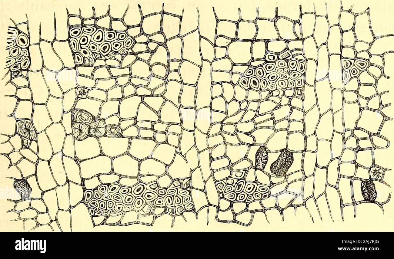 Radialand hi-res stock photography and images - Alamy