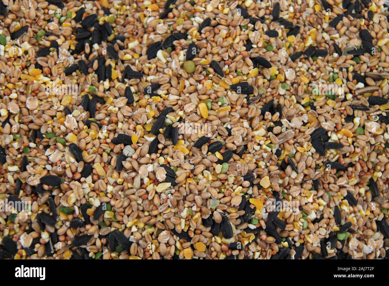 A Dried Food Animal Mix of Cereals and Seeds Stock Photo - Alamy