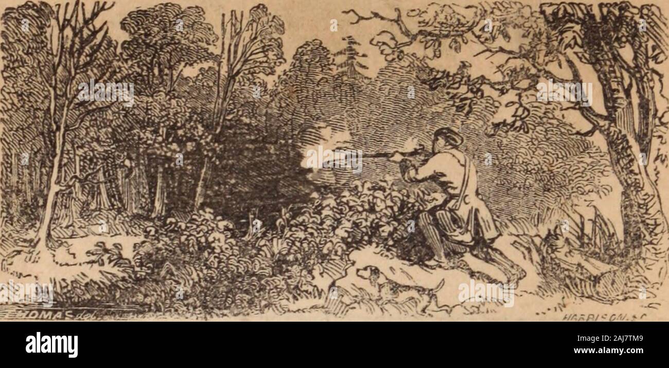 Moon 30 day phases hi-res stock photography and images - Alamy