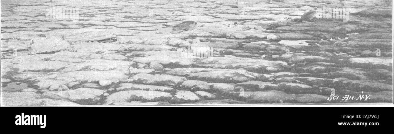 Scientific American Volume 87 Number 23 (December 1902) . OUTER END OF ...