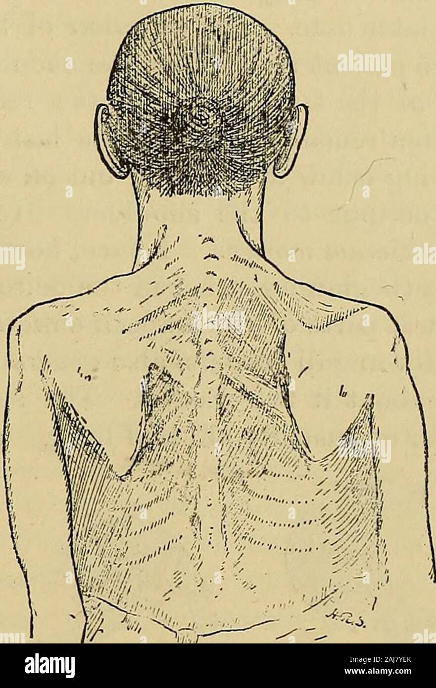 Handall hi-res stock photography and images - Alamy