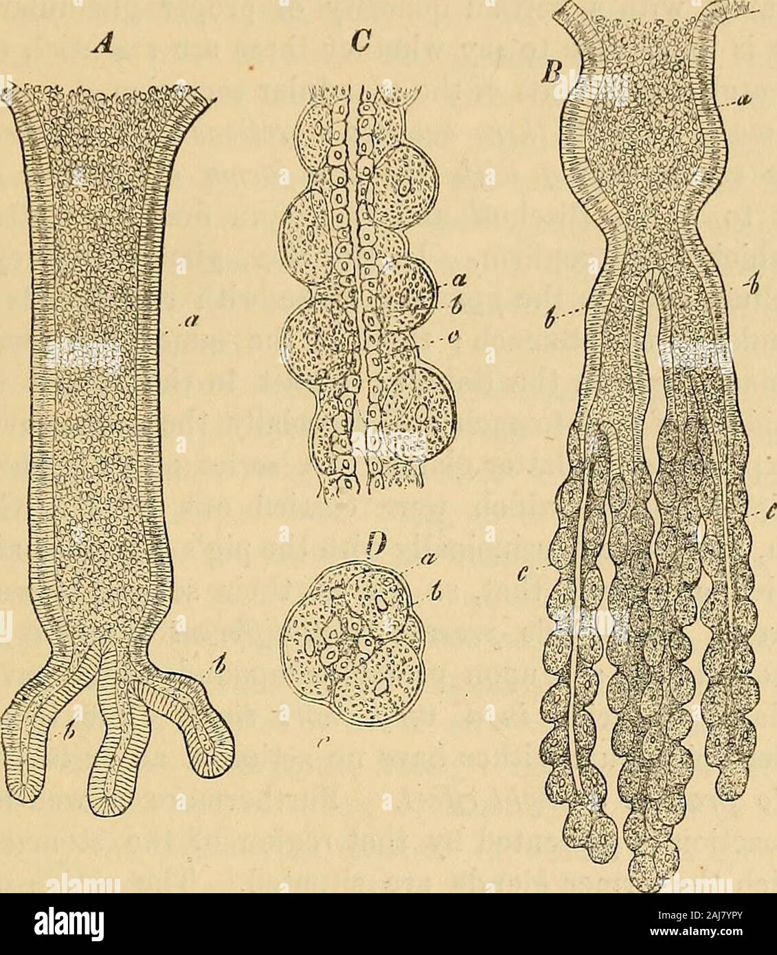 Granular fill hi-res stock photography and images - Alamy