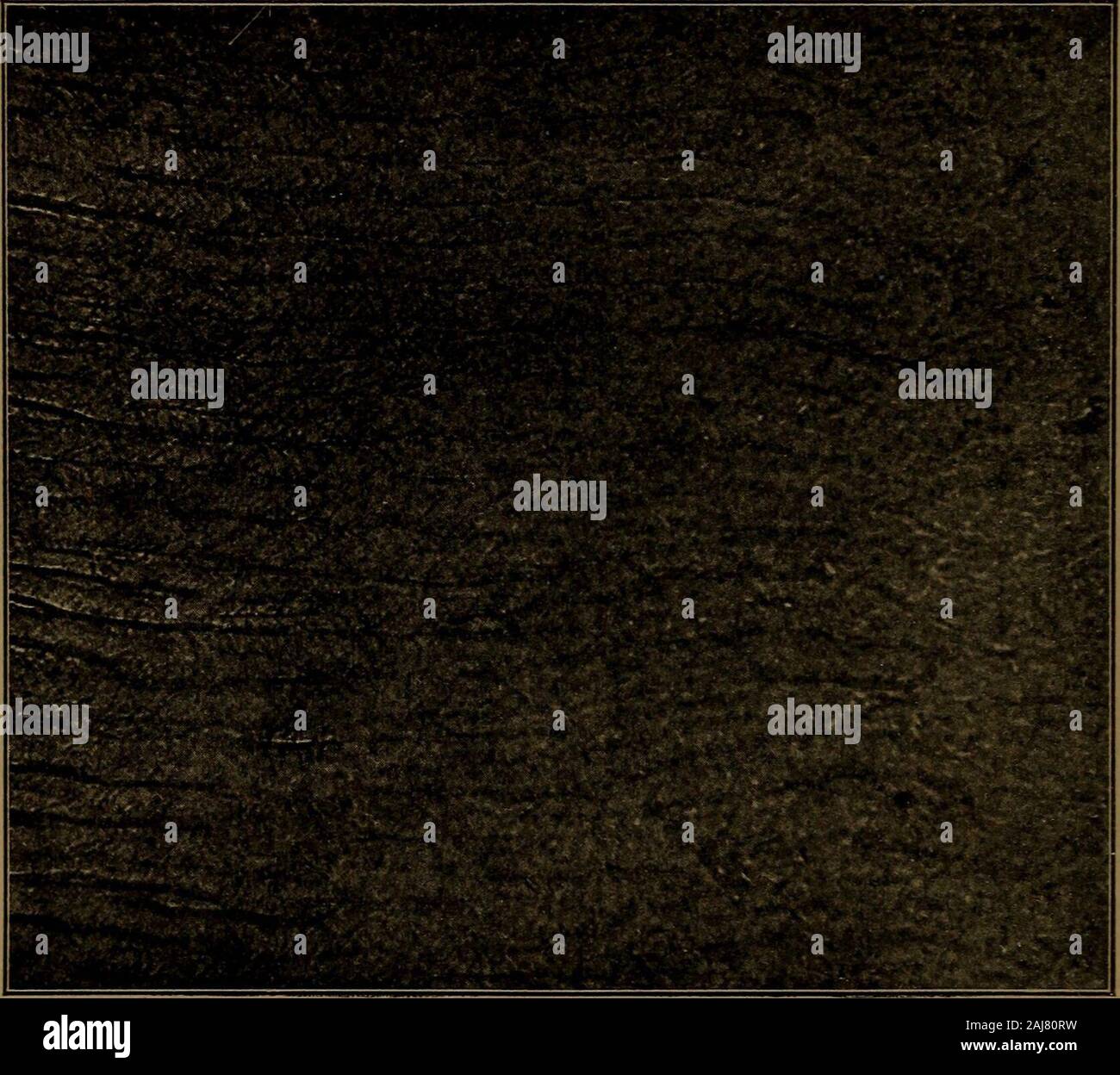 A text-book of dental histology and embryology, including laboratory ...