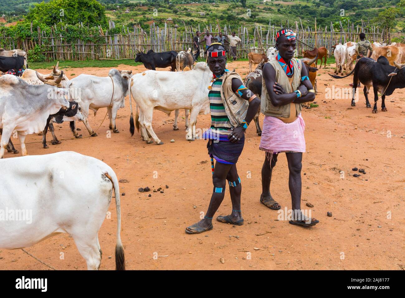 Banna people, Omo valley, Naciones, Ethiopia, Africa Stock Photo - Alamy