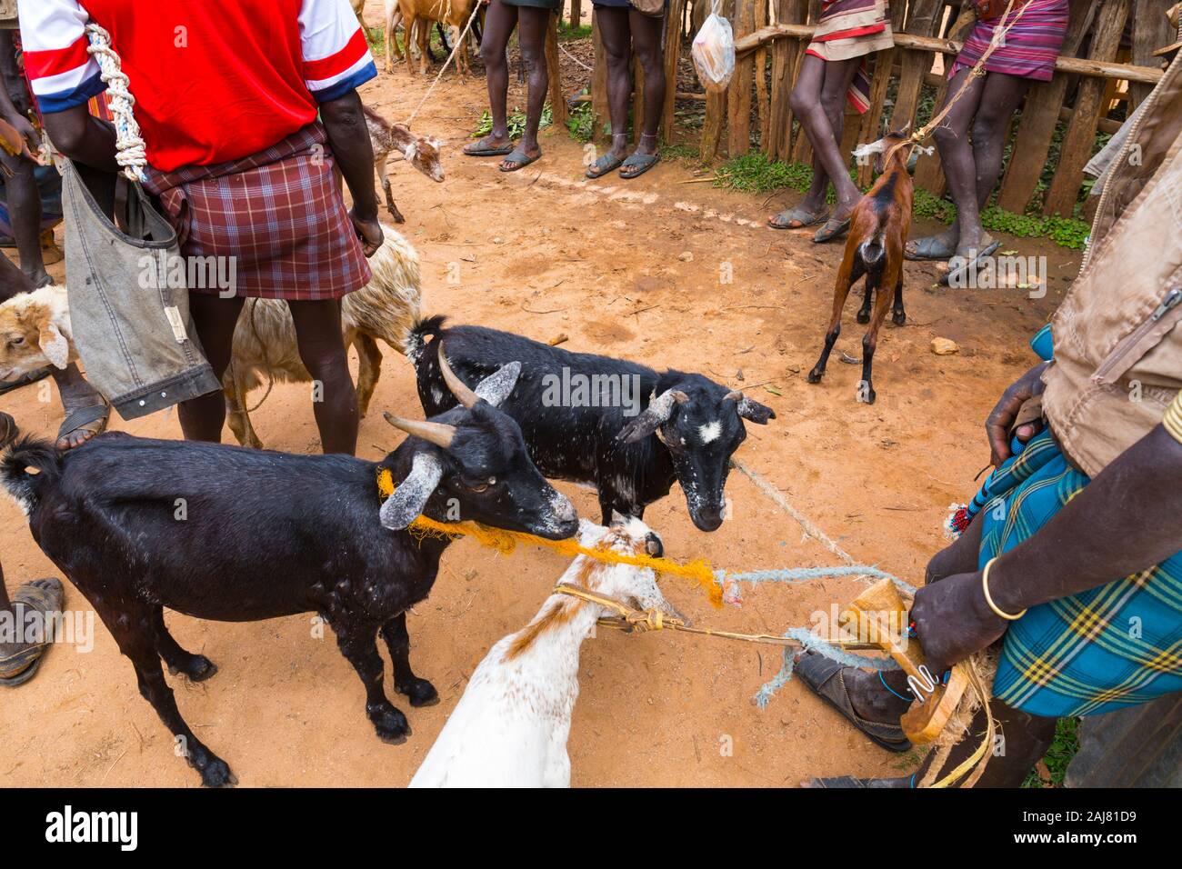 Banna people, Omo valley, Naciones, Ethiopia, Africa Stock Photo - Alamy