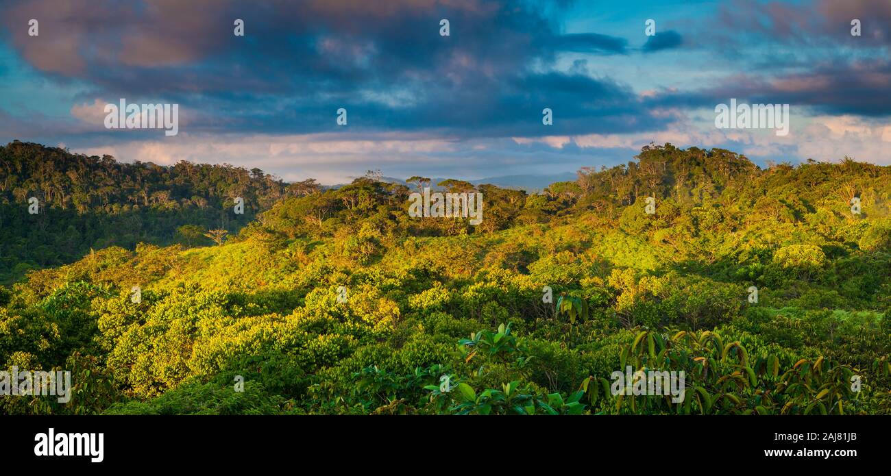 Nargana panama hi-res stock photography and images - Alamy