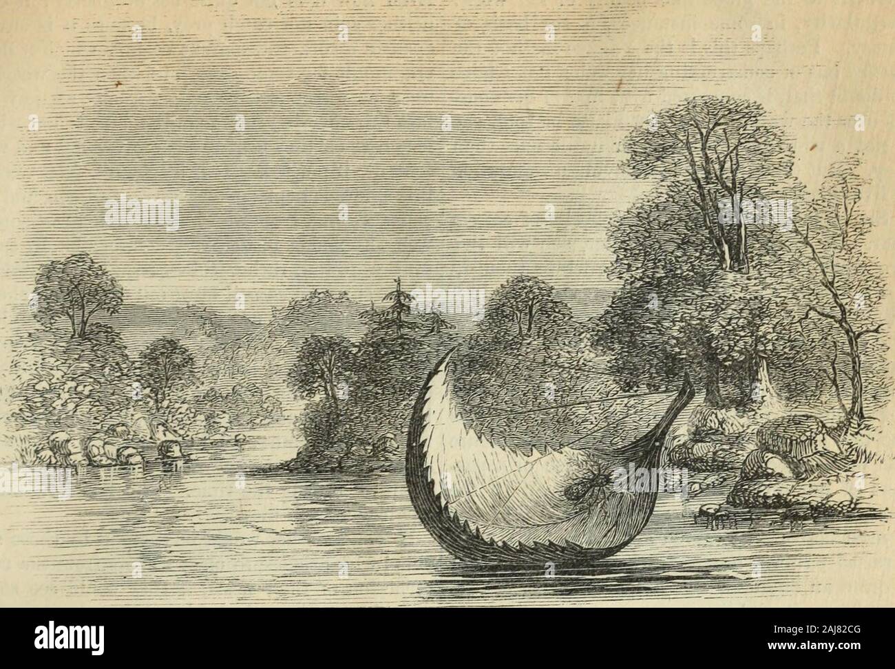 Spider gossamer sail hi-res stock photography and images - Alamy