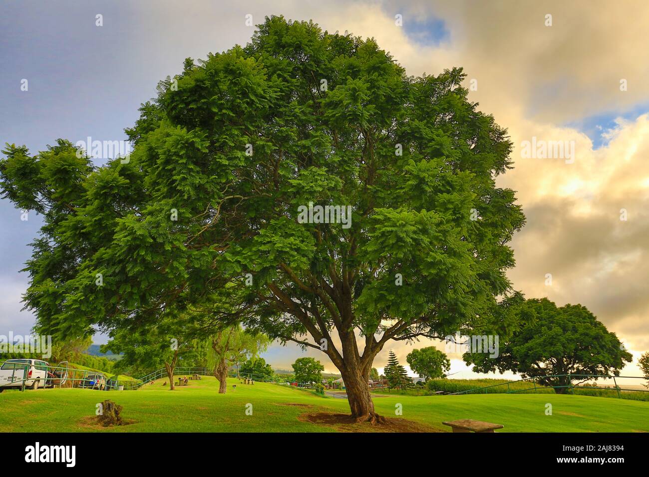 Road to Hana, Highway 360, Maui, Hawaii Stock Photo - Alamy
