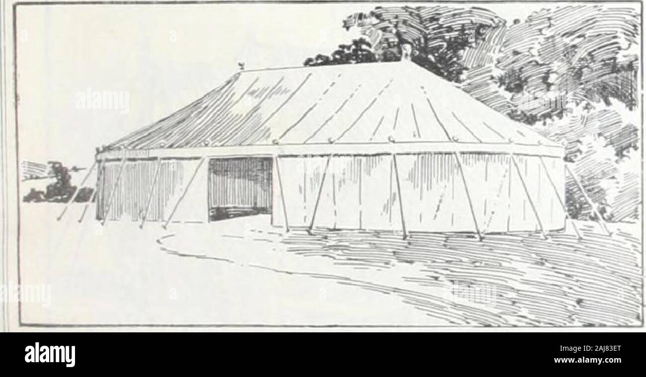 Entre cricket hi-res stock photography and images - Alamy