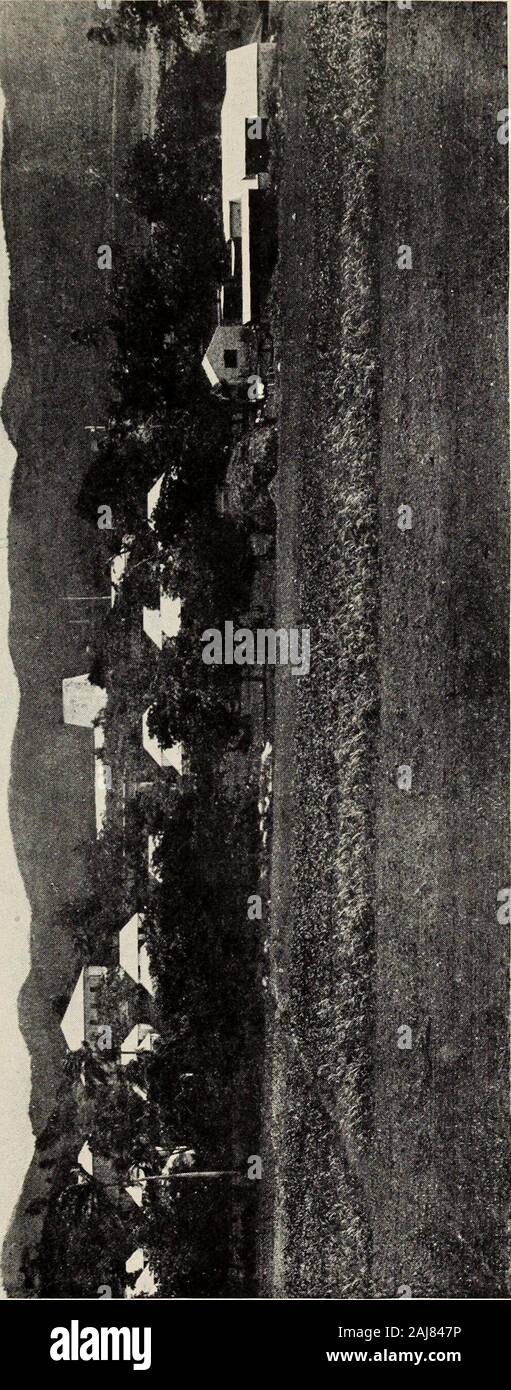 The Virgin islands of the United States of America; historical and ...