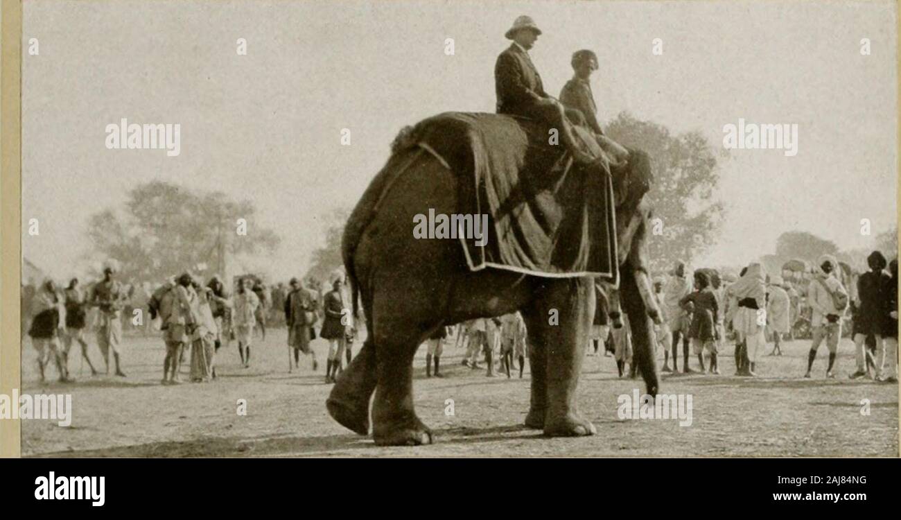 Harvest scenes of the world . Plowing in Ceyli I 1,11 .-liny ^^|II1 ...