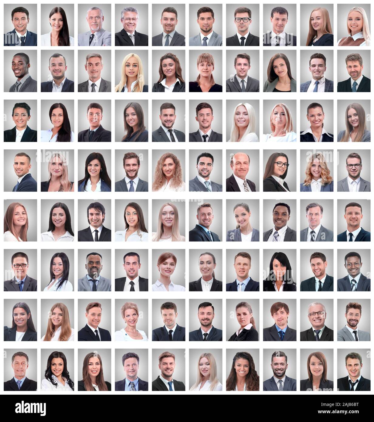 portraits of a group of successful employees isolated on white Stock ...