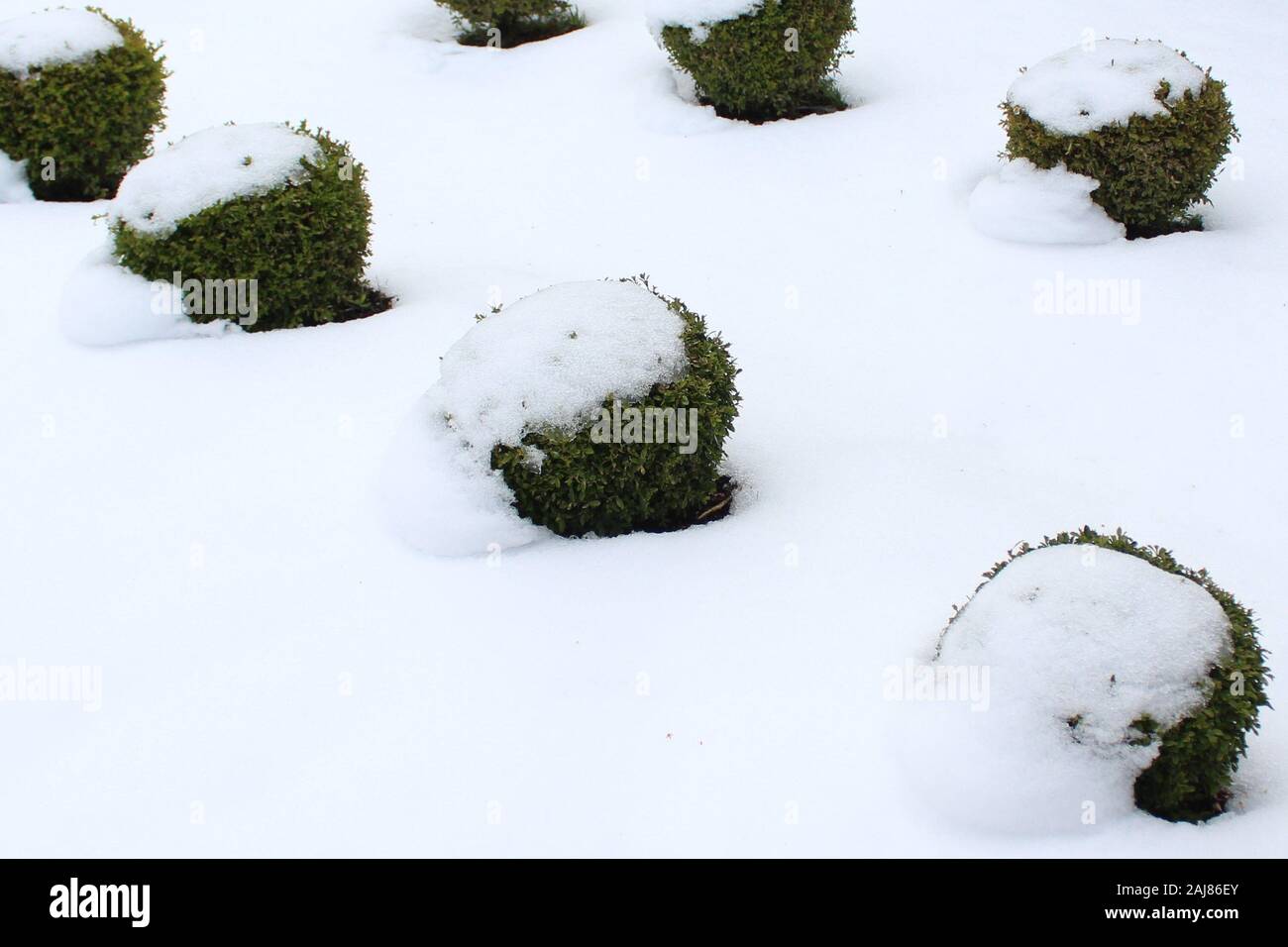 Picture shows box in hi-res stock photography and images - Alamy