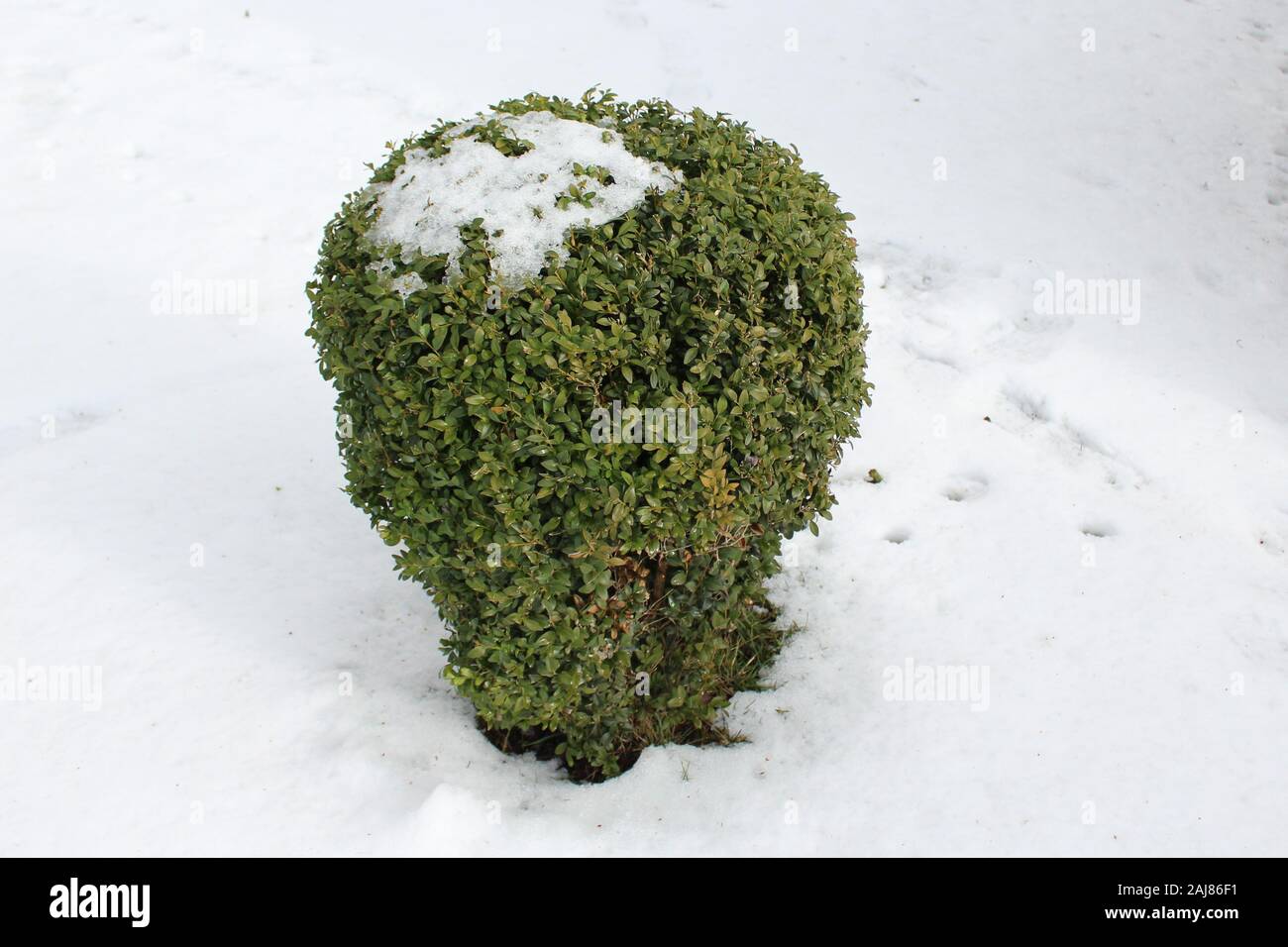 Picture shows box in hi-res stock photography and images - Alamy