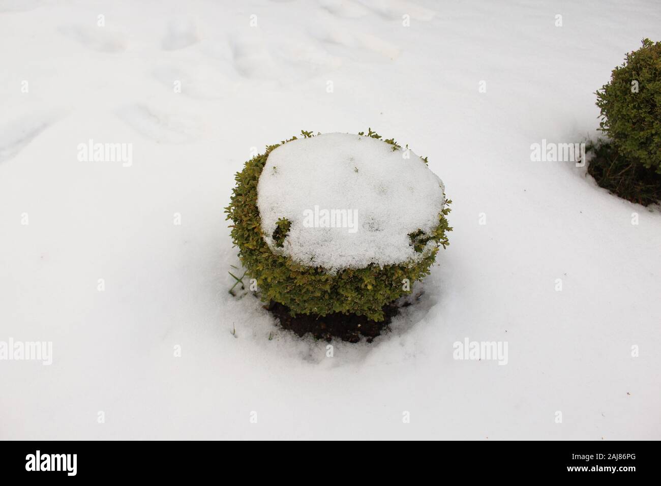 Picture shows box in hi-res stock photography and images - Alamy