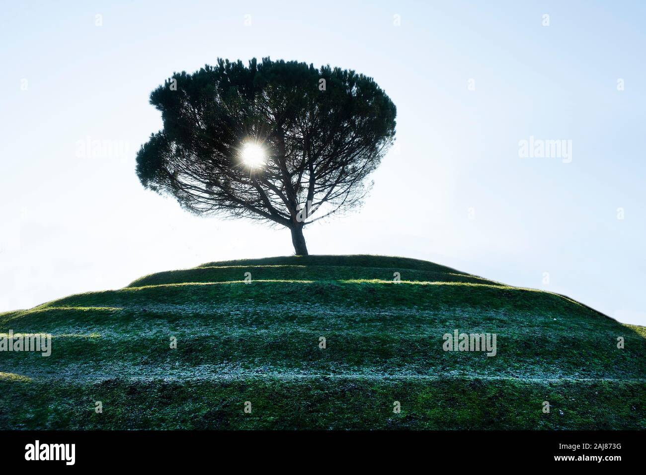 Shine through outdoor hi-res stock photography and images - Alamy