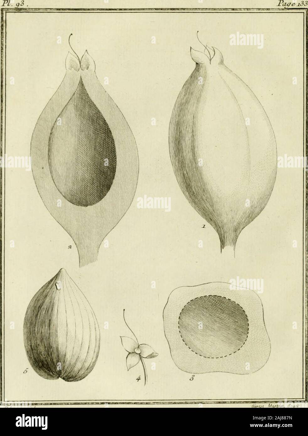 Dans les lieux humides hi-res stock photography and images - Alamy