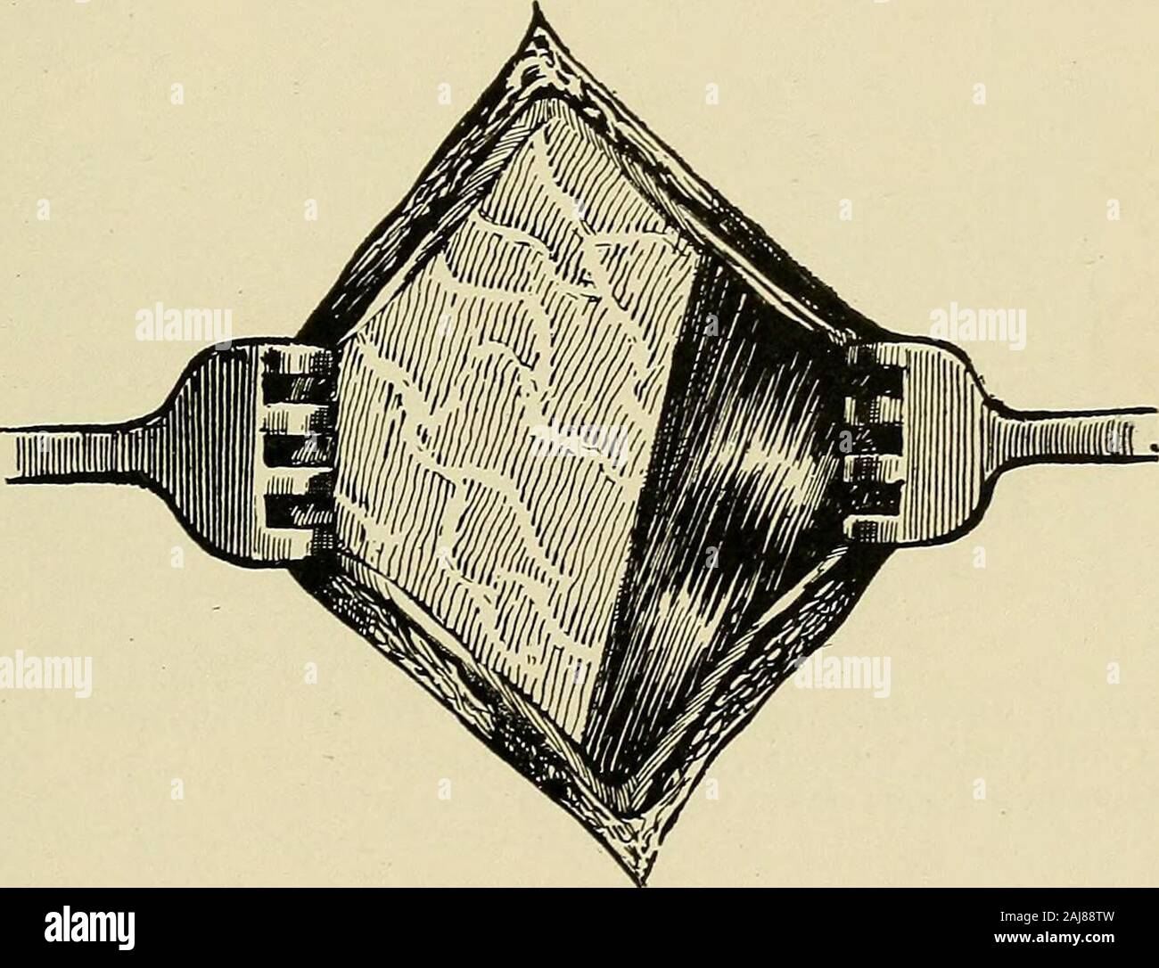 The surgical assistant, a manual for students, practitioners, hospital ...