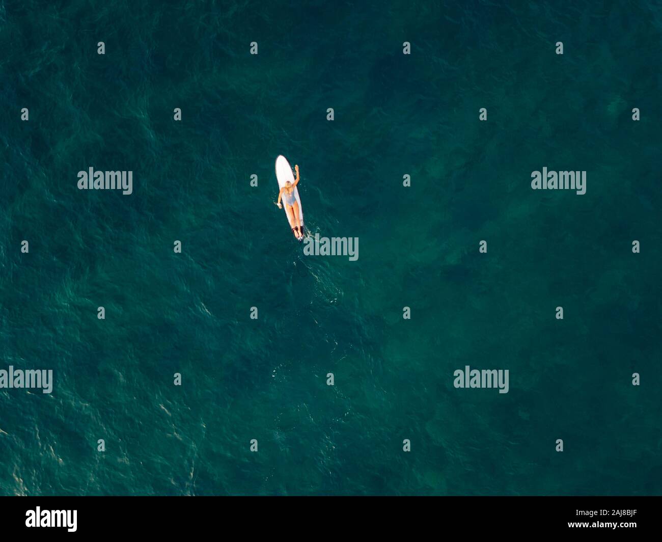 Aerial view of female surfer Stock Photo - Alamy