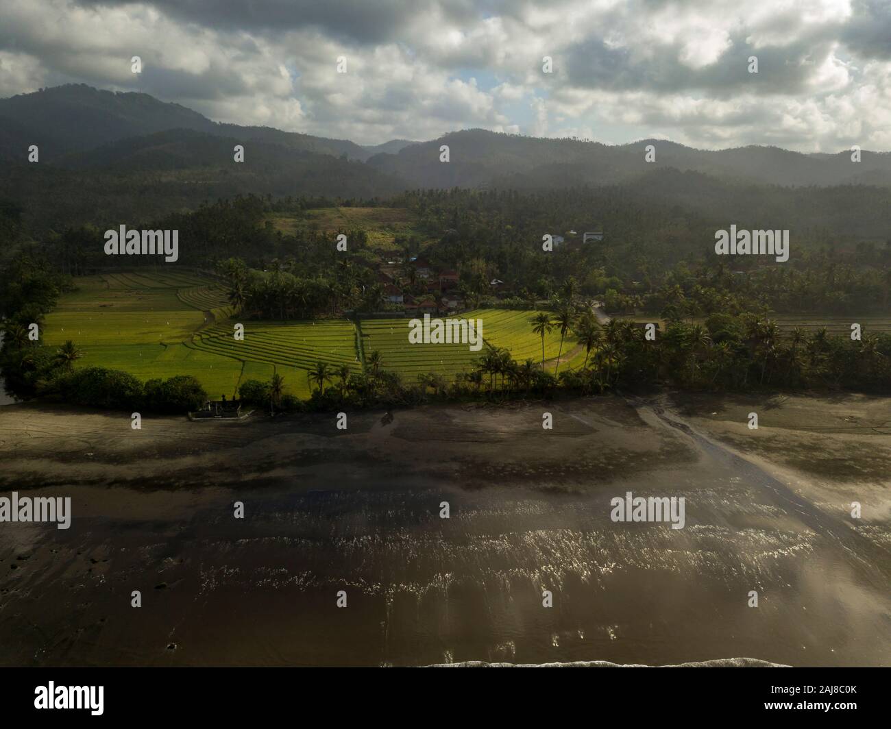Aerial view of rice fields at ocean coastline Stock Photo - Alamy