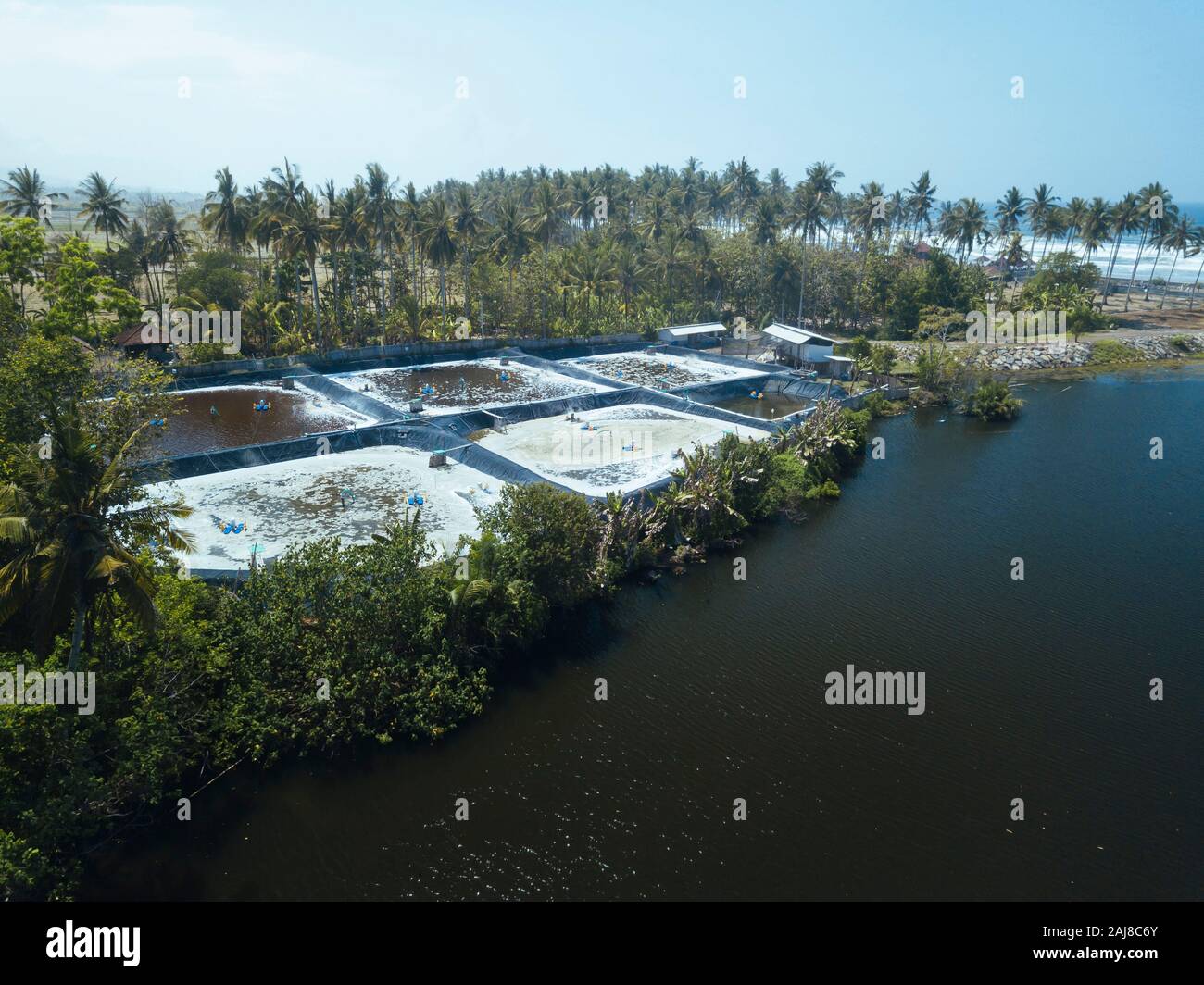 Aerial view of shrimp farm near ocean coastline Stock Photo - Alamy