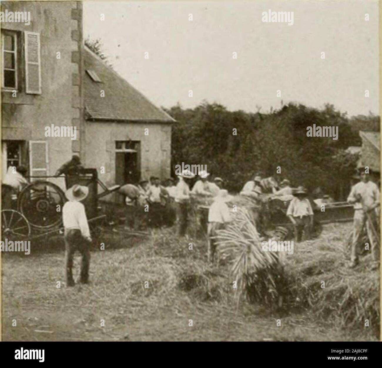 Harvest scenes of the world . Threshing Scene in France Stock Photo - Alamy