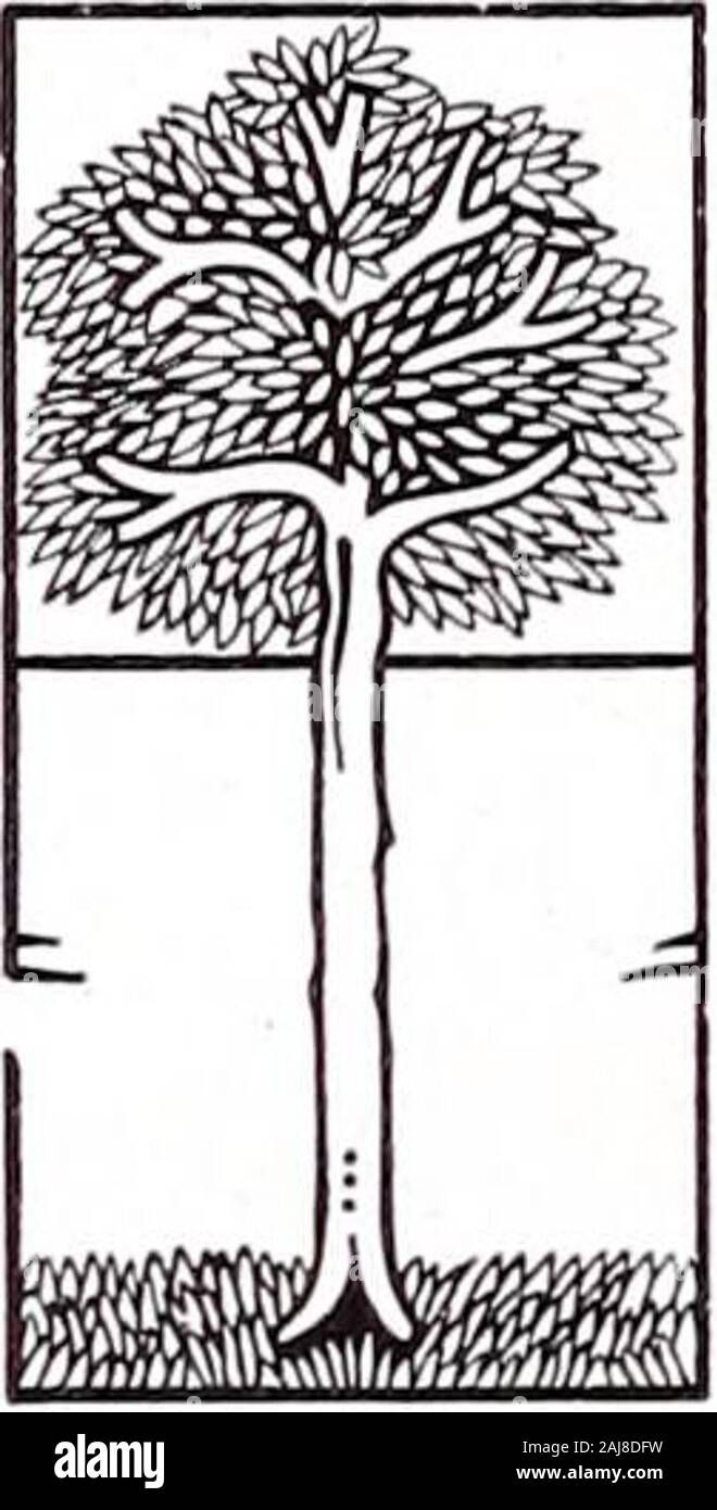 Edith craig hi-res stock photography and images - Alamy