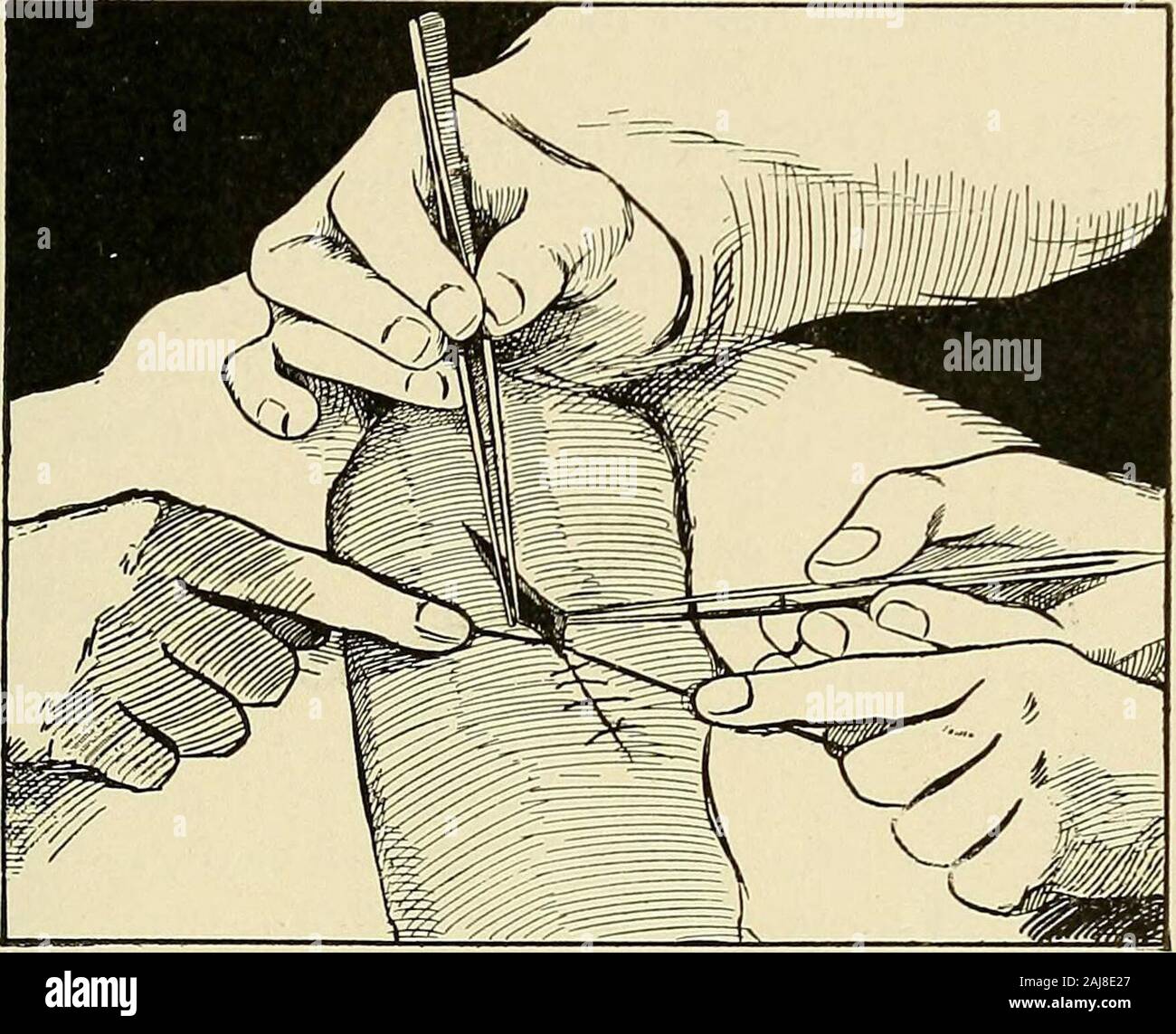 The surgical assistant, a manual for students, practitioners, hospital ...