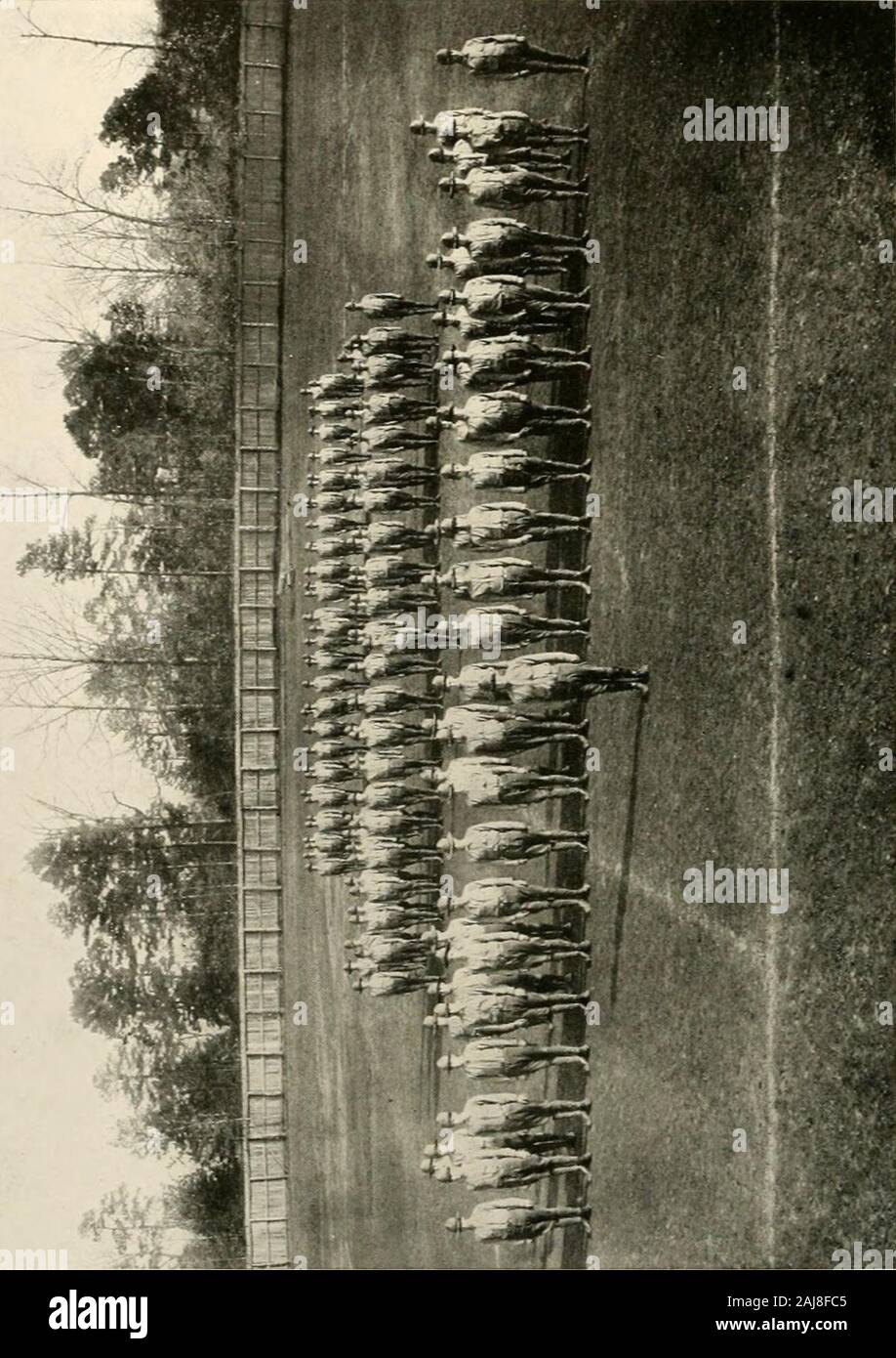 Quips hi-res stock photography and images - Alamy