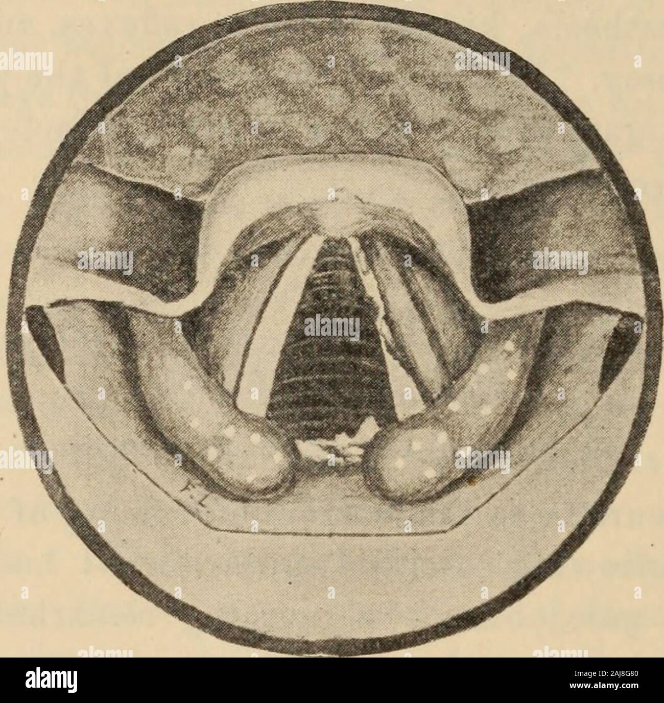 Healthychildren hi-res stock photography and images - Alamy